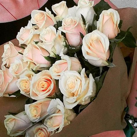 Доставка Розы по Акции Роза Кения кремовый крафт однотонный лента атласная Купить или