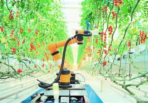 遨博aubo瓜果采摘机器人智慧农业移动小车agv深度学习自动采摘高科技 产品关键词农业采摘机器人公司自动采摘机器人一台采摘机器人售价采摘机器人小车遨博农业机器人智慧农业