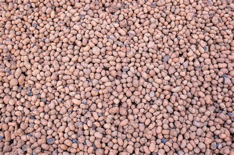 Lightweight Expanded Clay Aggregate For Agricultural Farming Stock Image Image Of Greenhouse
