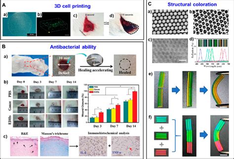 Applications Of The Enzyme Regulated Healable Polymeric Hydrogels A Download Scientific