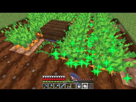 How To Make Carrot In Minecraft A Step By Step Guide On This Very Spot How To Make Carrot In Minecraft A Step By Step Guide On This Very Spot
