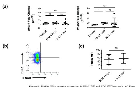 Similar Ifnγ Receptor Expression In Pd L1 High And Pd L1 Low Beta Download Scientific Diagram