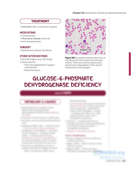 Solution Normocytic Anemia Increased Hemolysis Notes Diagrams