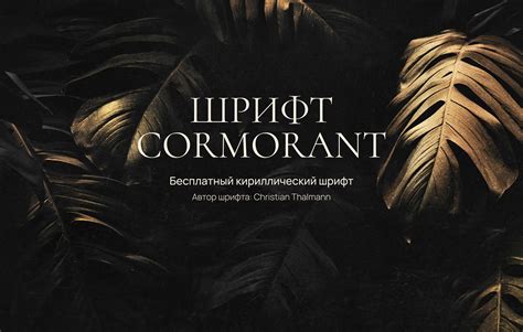 Cormorant Font Free Cyrillic Font Бесплатный шрифт Behance