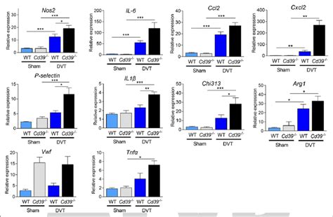 Validation Of Microarray Results Reveals Quantitative Real Time