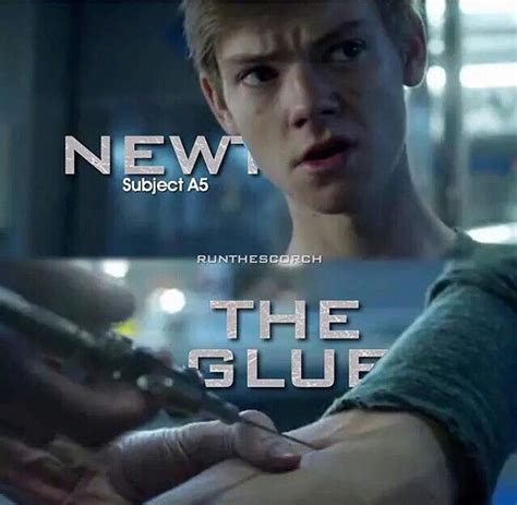 Newt A The Glue