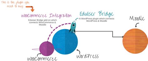 Reasons Woocommerce Is The Best To Sell Moodle Courses