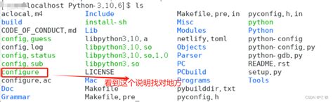 Python实现极致克服PyInstaller打包挑战解决libpython3 10 so 1 0库丢失难题 pyinstaller