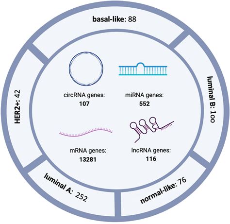The Number Of Genes And Samples For Breast Cancer Subtypes After Download Scientific Diagram