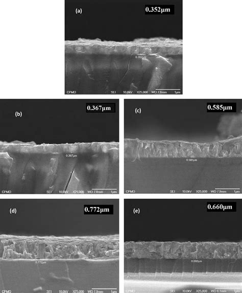 Cross Sectional Scanning Electron Micrographs Showing Thickness Download Scientific Diagram