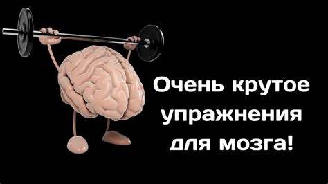 Картинки Для Тренировки Мозга И Памяти Взрослым — Фото Картинки