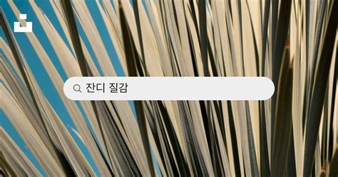 750 잔디 질감 사진 Unsplash에서 무료 이미지 다운로드