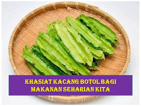 Farah Hanim Khasiat Kacang Botol Bagi Makanan Seharian Kita