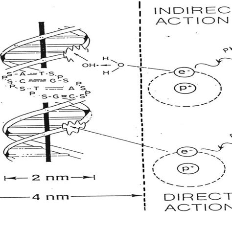 Carbon In Leach Cil Process Plant Flow Diagram Download Scientific Diagram