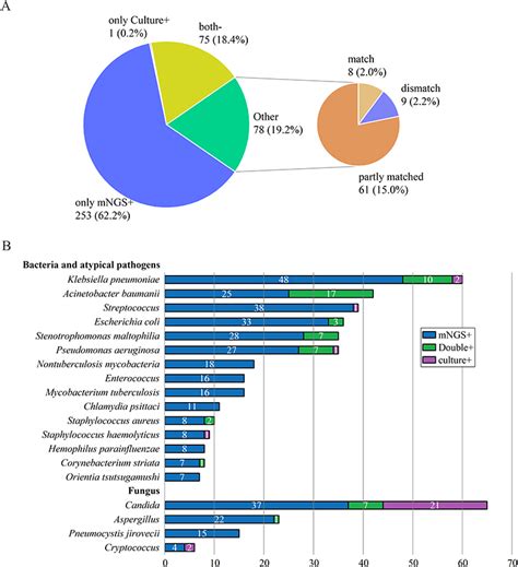 Clinical Efficacy And Diagnostic Value Of Metagenomic Next Generation Idr