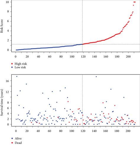 The Prognostic Value Of The Eight Arg Signature In The Train Set A