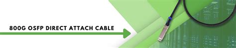 800g Osfp Dac Optech Technology Co Ltd