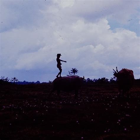 Naked Days Mostly Lost Lyrics Genius Lyrics