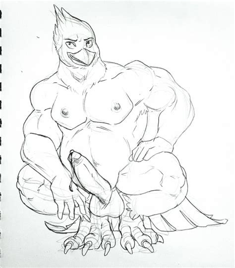 Rule 34 Avian Bird Bluebird Bodily Fluids Crouching Eastern Bluebird Genital Fluids Genitals