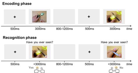 Schematic Illustration Of The Image Recognition Task Images Depicting Download Scientific