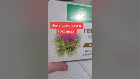 Як відновити печінку як очистити печінку лікуємо печінку вдома Youtube