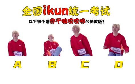 十道题测测你到底是几级ikun 哔哩哔哩