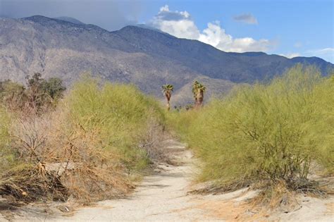 People Keep Having Sex Near An Abandoned Palm Springs Golf Course