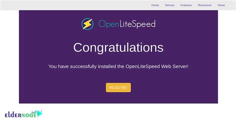 Tutorial Install OpenLiteSpeed On Debian Buster Eldernode Blog