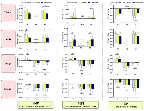 Coordination Patterns And Energy Flow Analysis In Sit To Stand Transitions Among Individuals