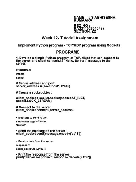 App Assignment Pdf Network Socket Port Computer Networking