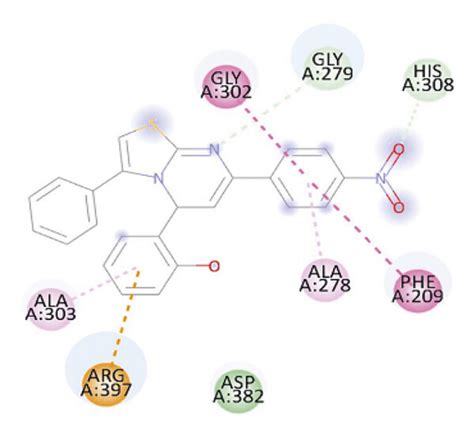 3d B And 2d A Representations Of The Binding Interactions Of 15