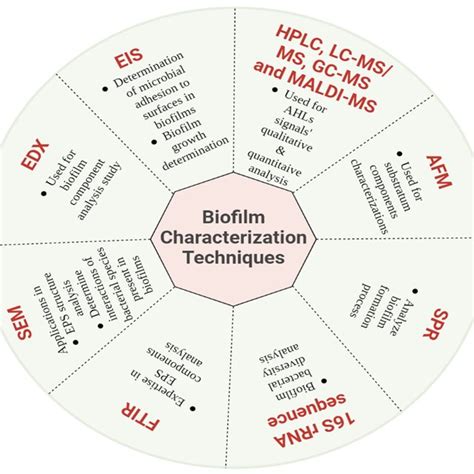 Schematic Diagram Of Various Techniques Used For Biofilm Characterization Download Scientific