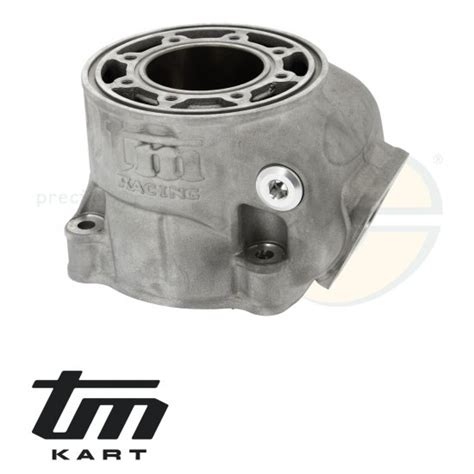 Cylinder Tm Kz 10 B