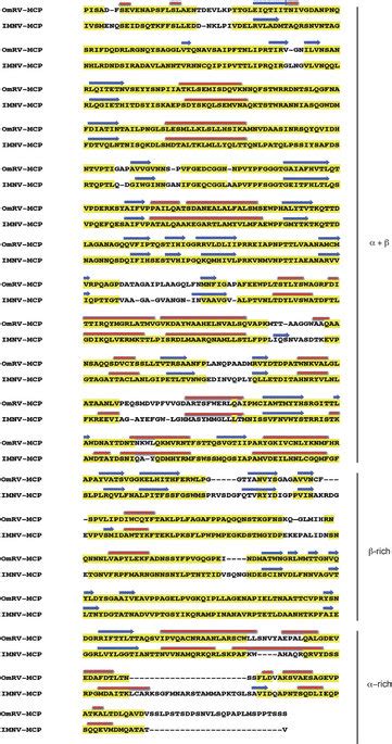 sequence based secondary structure prediction sequence predicted