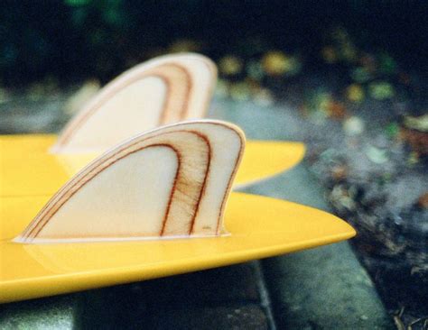 Beautiful Photos Of A Beautiful Skip Frye Fish Shred Sledz