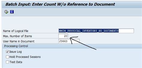 Inventory Count Entry By Batch Input Method With T Sap Community