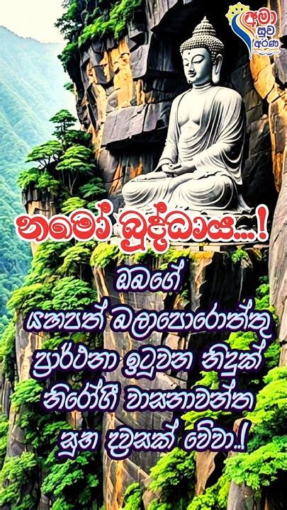 සිතුම් පැතුම් ඉටුවන වාසනාවන්ත සුභ දවසක් 🙏🙏🙏🌻🌻🌻🌼🌼🌼 Youtubeshorts Youtube