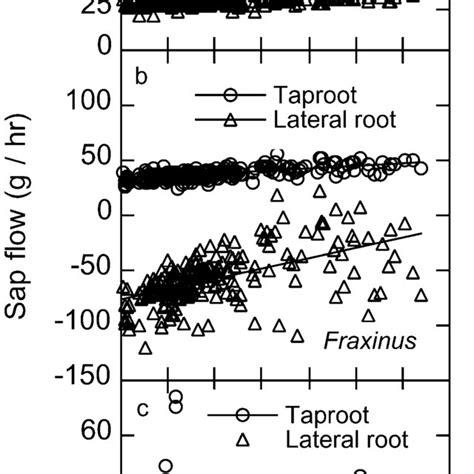 A B The Relationship Between Nighttime Sap Flow And Nighttime Vapor Download Scientific
