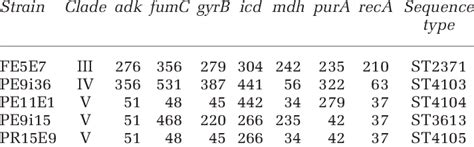 Multilocus Sequence Typing Results Showing The Allelic Combinations Of Download Table