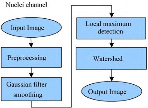 Figure 2 From A Computational Framework For Studying Neuron Morphology