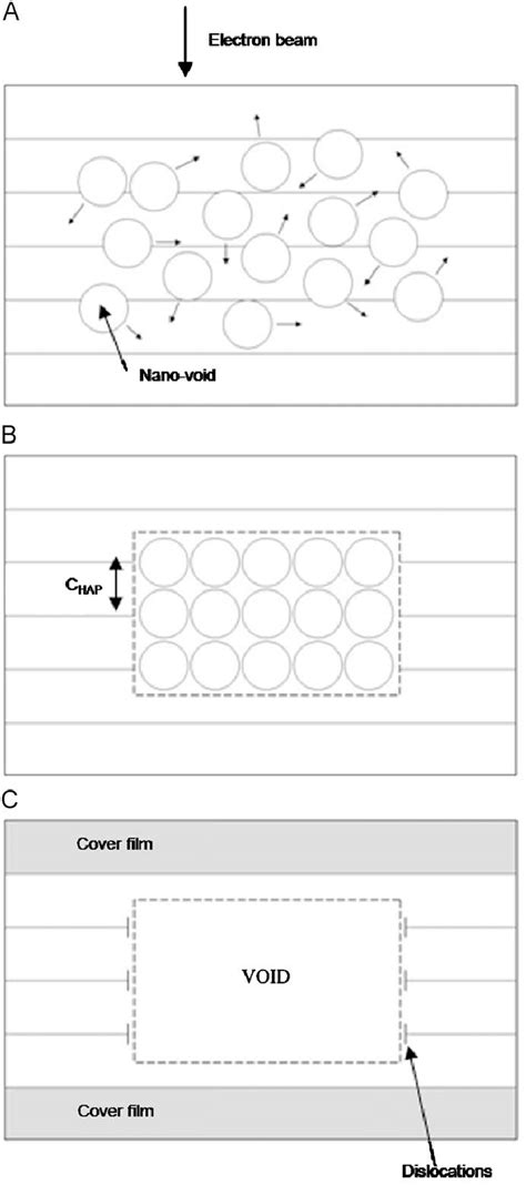 Schematic Drawings Of A Proposed Interaction Process Between The Hap Download Scientific