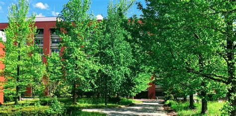 Applied Mathematics School Of Math And Phys Kanazawa University