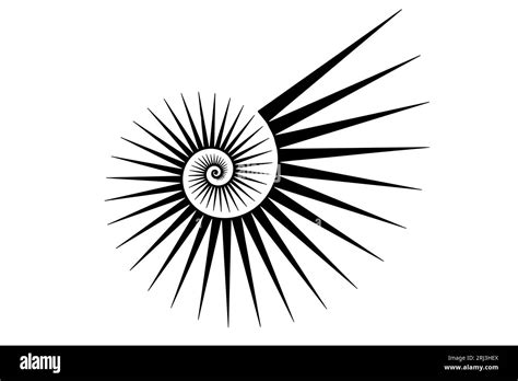 Fibonacci Golden Ratio Geometric Shapes Spiral Snail Spiral Sea