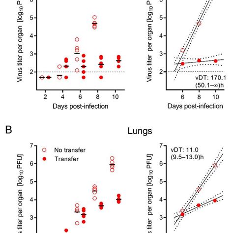Cd8 At Inhibits Exponential Virus Growth Reflected By A Prolonged Viral