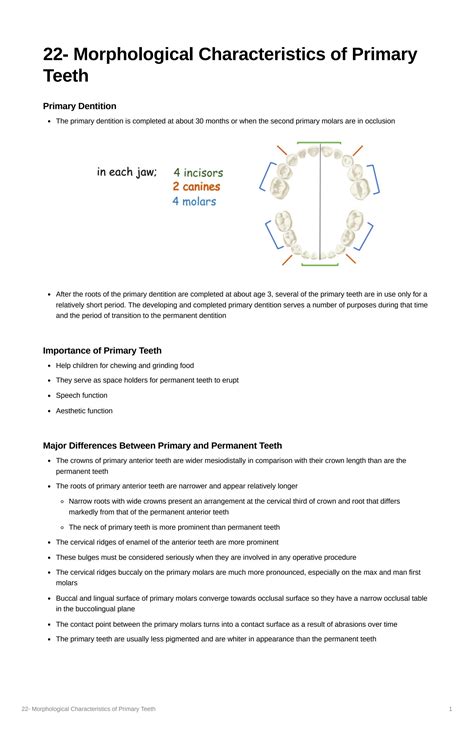 Solution Morphological Characteristics Of Primary Teeth Studypool