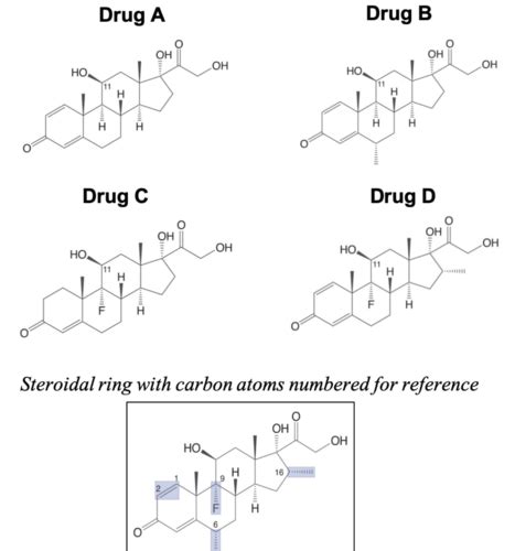 Phar 134 Pda Ii Exam 1 Review Questions Flashcards Quizlet
