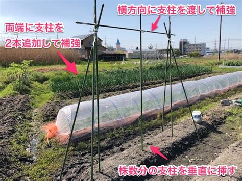 へちま 支柱立て方 ヘチマ 棚 作り方 簡単 Clhis