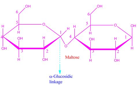 Definition Of Mutarotation And How It Depends On Temperature