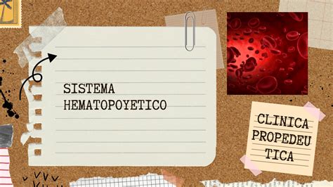 Solution Sistema Hematopoyetico 1 Studypool