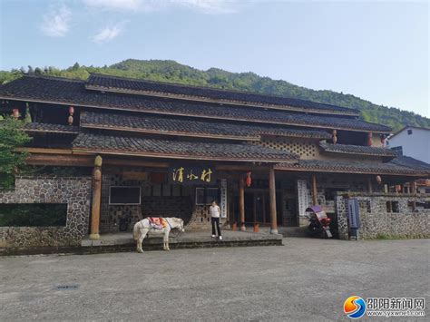 新邵坪上镇清水村做实同心美丽篇章